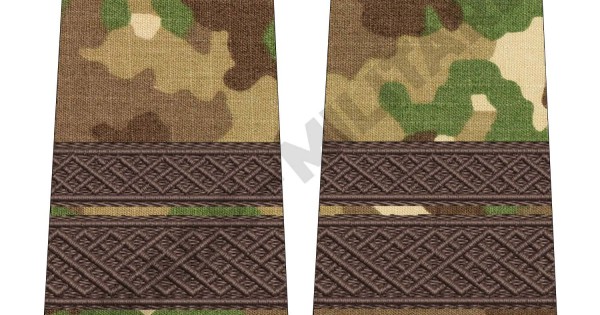 GRADE MApN | EPOLETI SI INSEMNE ARMATA : Grade Elev Sergent ...